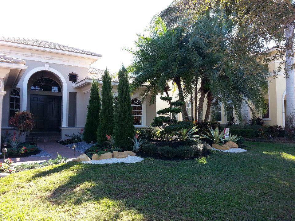 Brought This Dull Front Yard Landscape In Boca Raton Back To Life ...