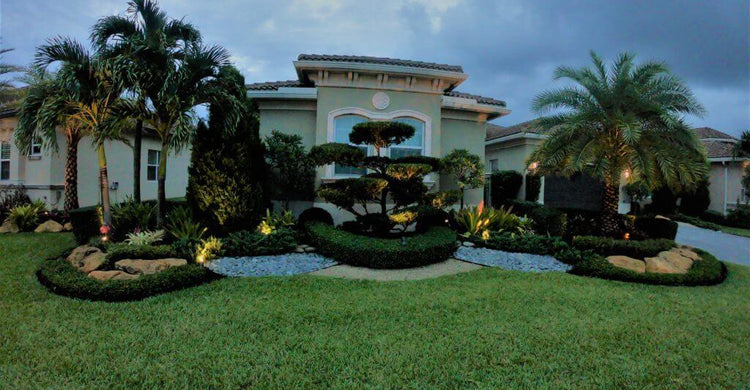 South Florida Landscaping Ideas That Will Wow You and Your Neighbors ...