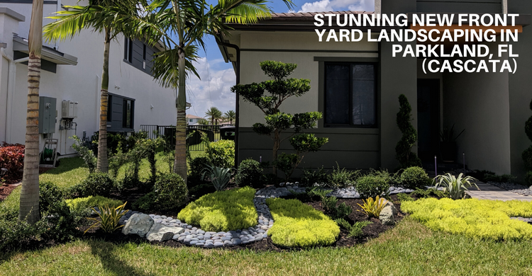 Stunning New Front Yard Landscaping In Parkland, FL (Cascata ...